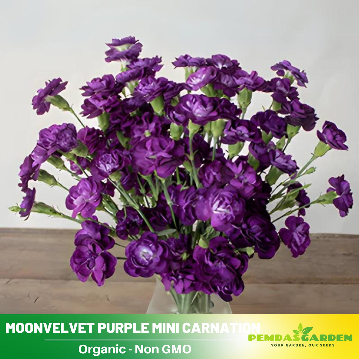 30 Moonberry Light Purple Mini Carnation- Dianthus Seeds - Open-Pollin ...