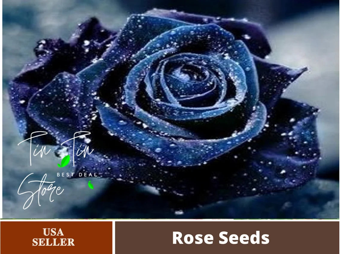 30 Rare Seeds | Midnight Supreme Rose Seed – PEMDASGARDEN